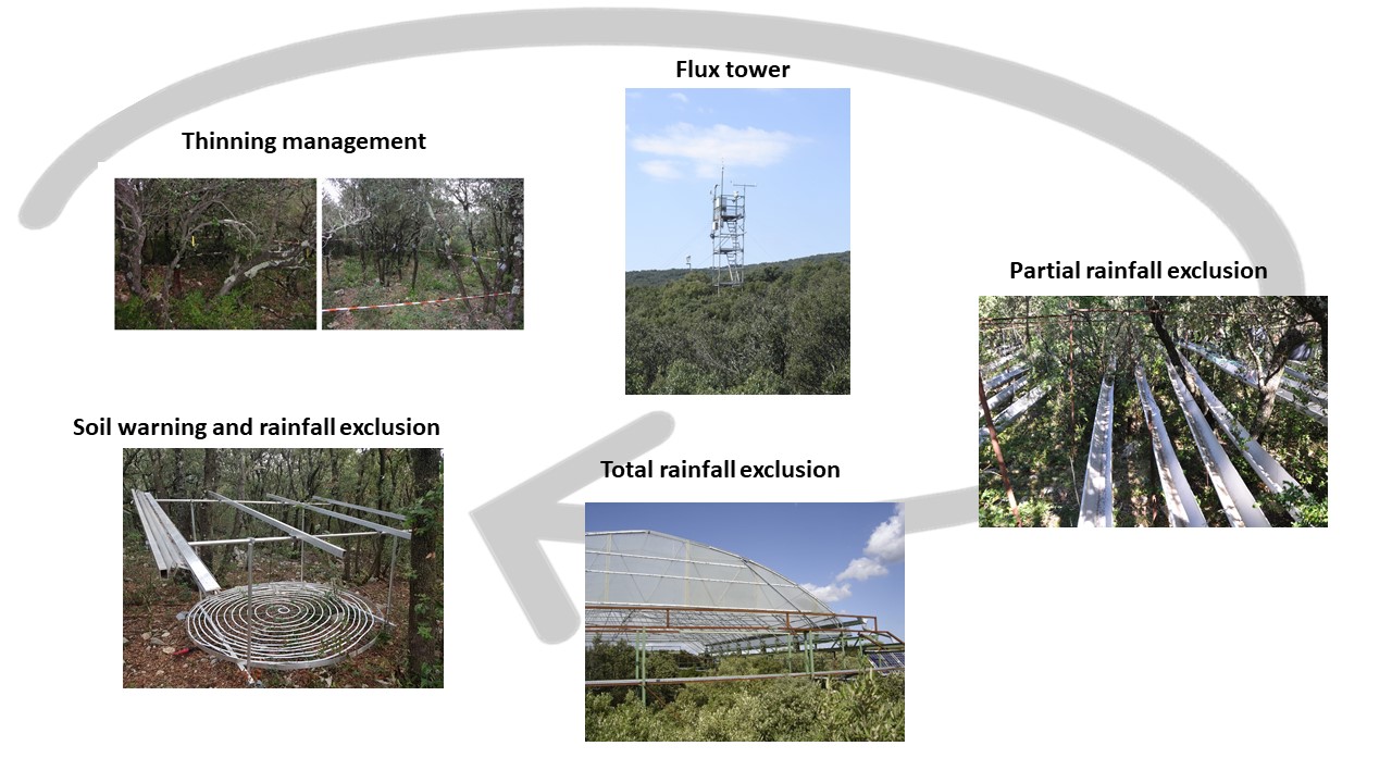 Experimentation – Puechabon Experimental Site