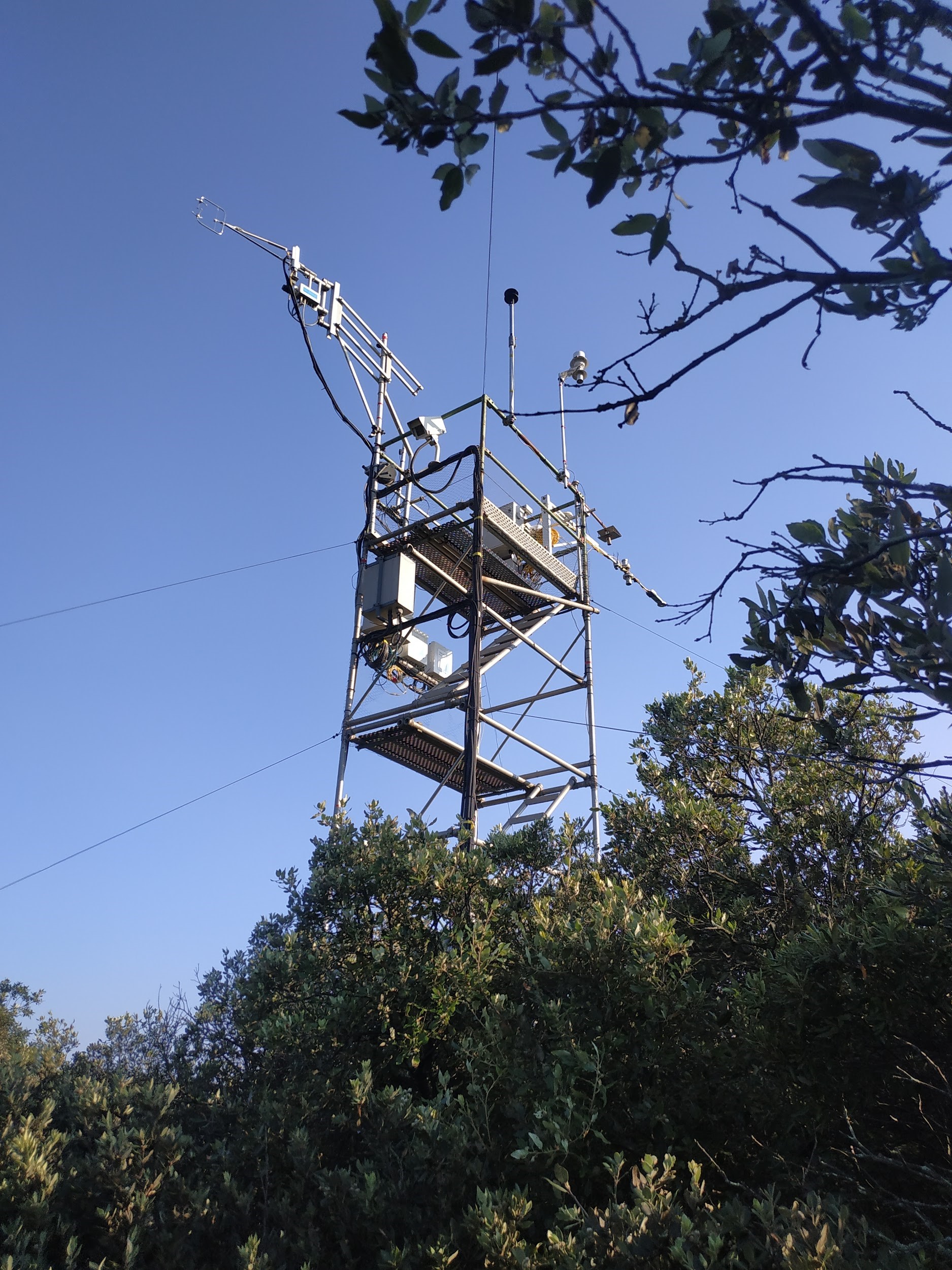 Labelling of Puéchabon as an ICOS class 2 station – Site expérimental ...